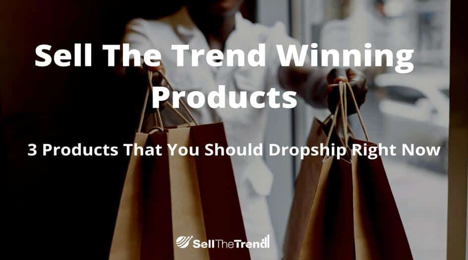 3 Products You Should Dropship Right Now